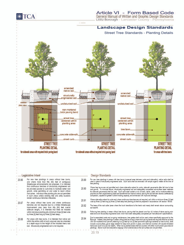 Street Tree Planting Standards Guide | PDF | Trees | Mulch