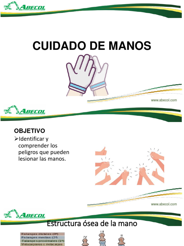 Presentacion Cuidado de Manos | PDF