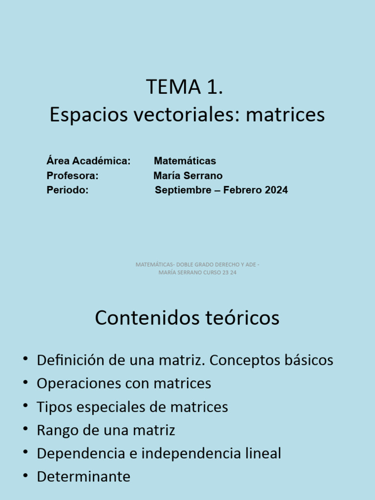 Tema 1_Espacios vectoriales_Matrices | PDF