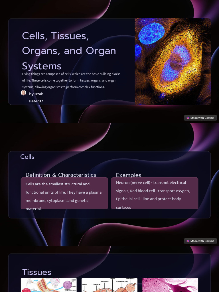 G10 Bio Cells | PDF | Human Body | Tissue (Biology)