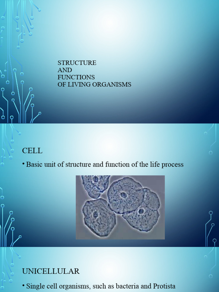 Structure & Functions of Living Organisms | PDF | Blood | Human Body