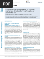 DH5α Competent Cells Transformation Guide | PDF | Transformation ...