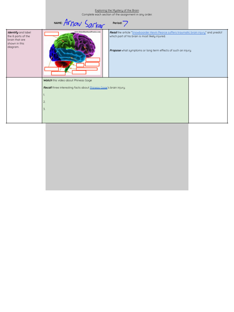Understanding Brain Function and Injury | PDF | Computers