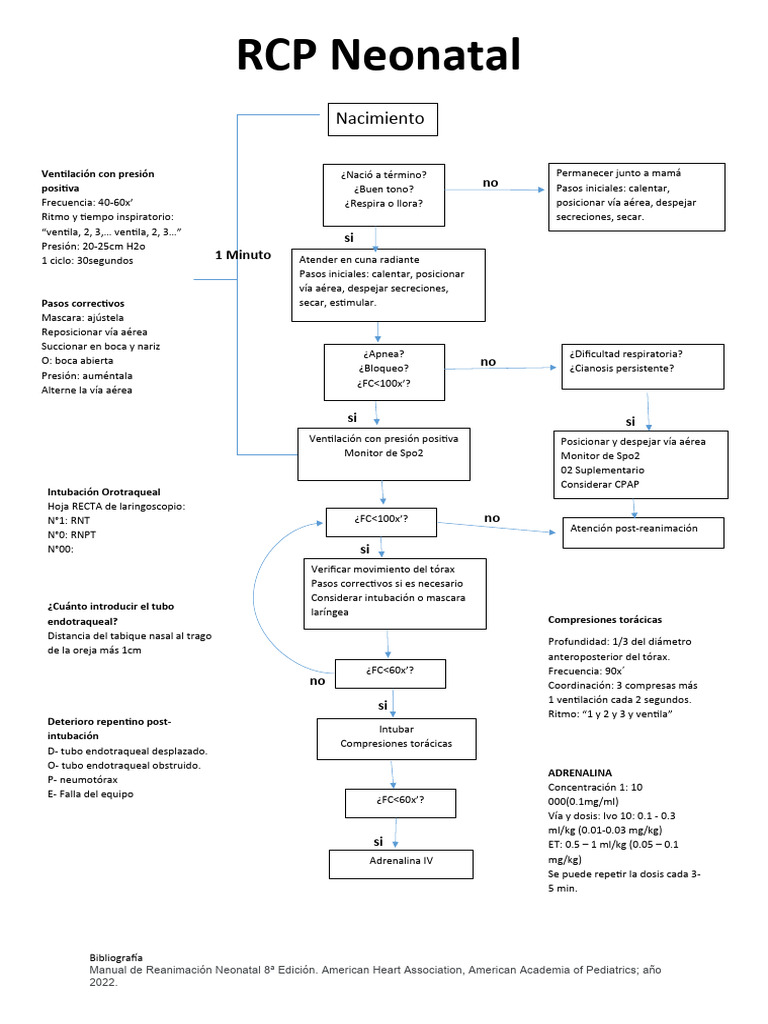 Guía de RCP Neonatal | PDF | Reanimación cardiopulmonar | Tratamientos ...