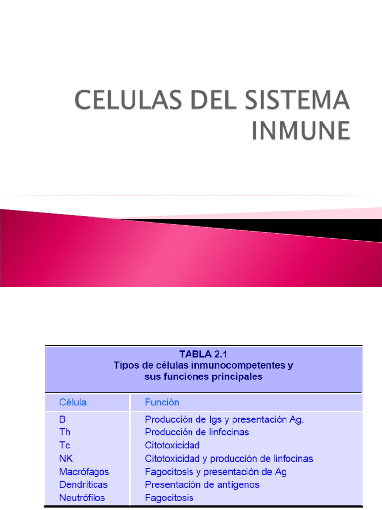 4-Celulas Del Sistema Inmune | PDF