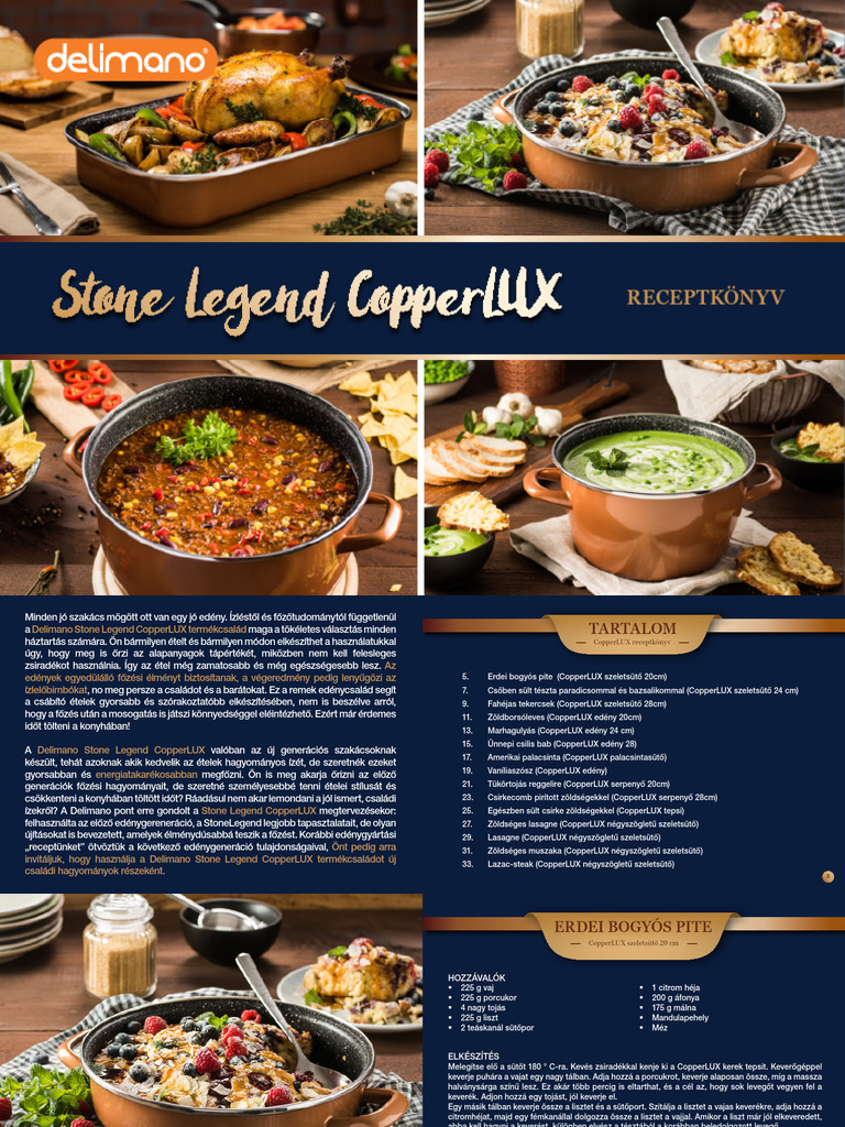 Delimano SL Copper-Lux Recipe Book 4 | PDF
