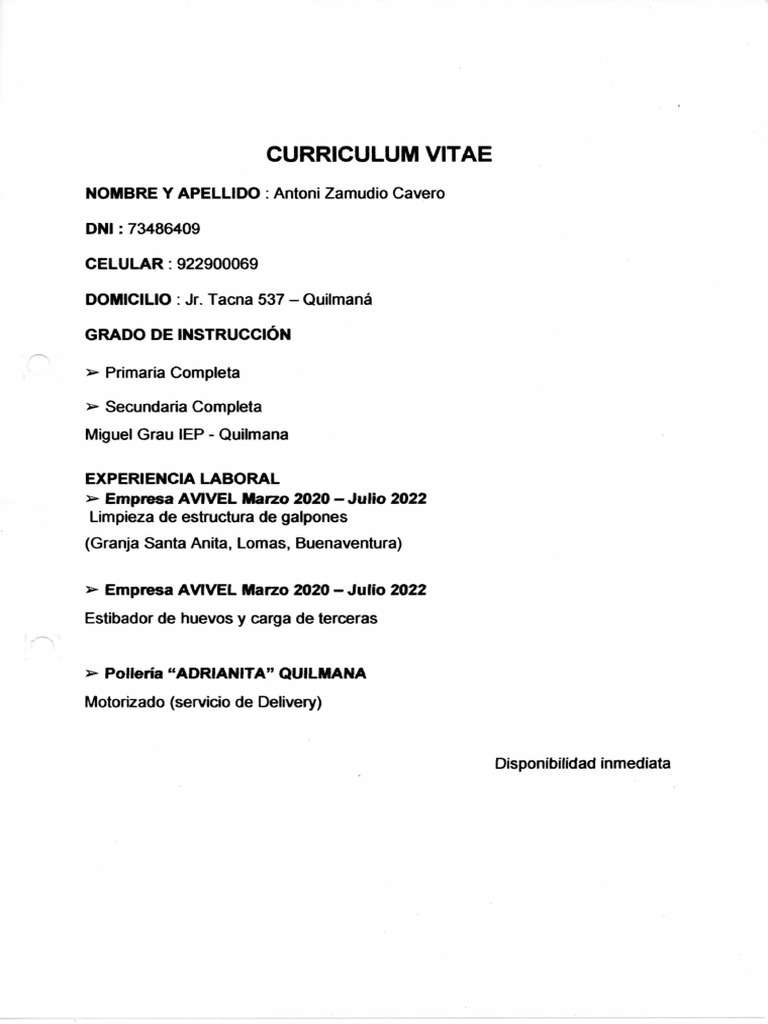 Curriculum-Antoni Zamudio | PDF