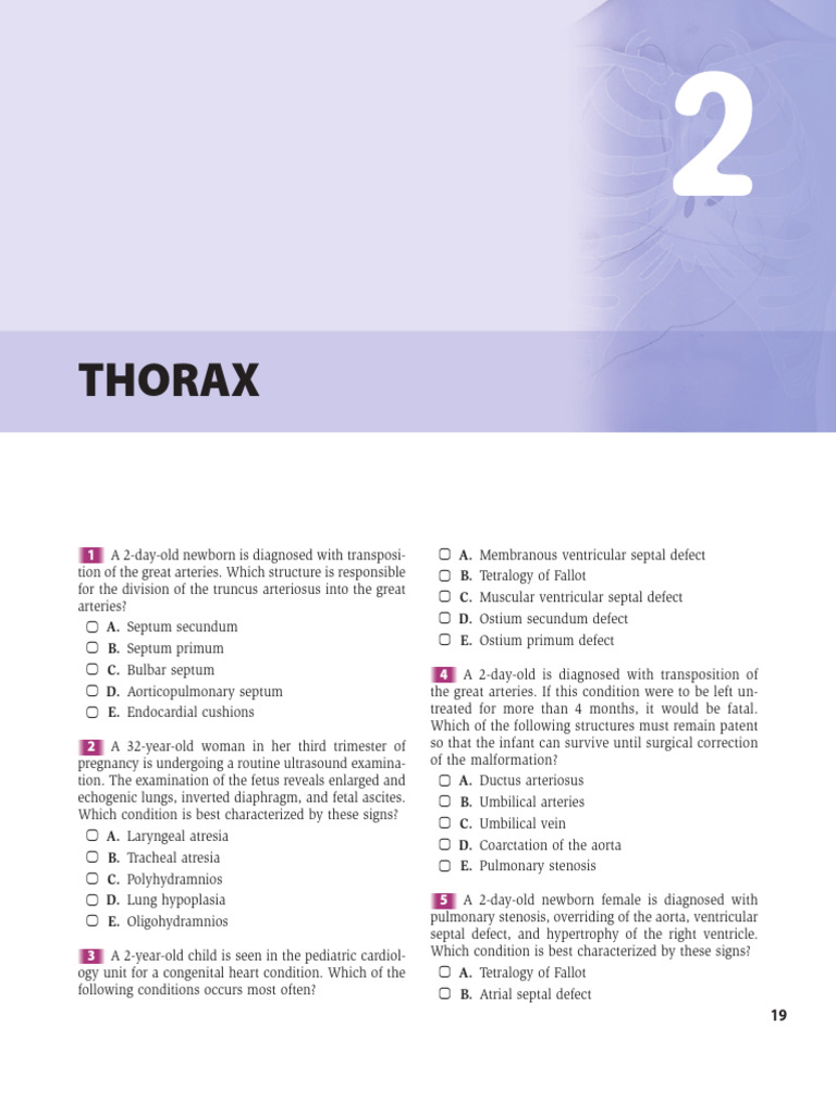Thorax Gray's Anatomy Mcqs | PDF | Coronary Circulation | Congenital ...