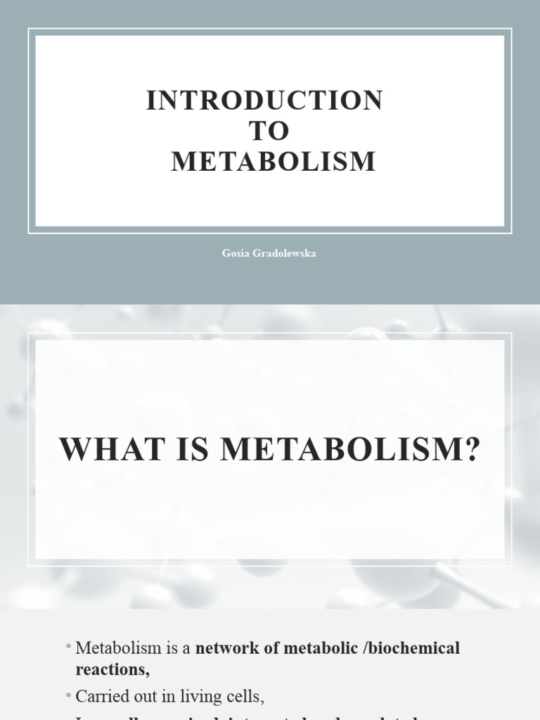 Introduction To Metabolism | PDF