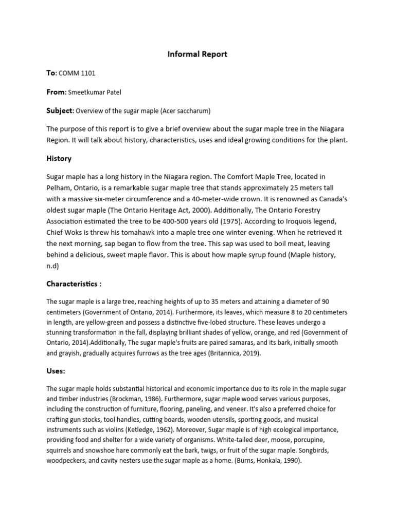 Informal Report Smeet Patel | PDF