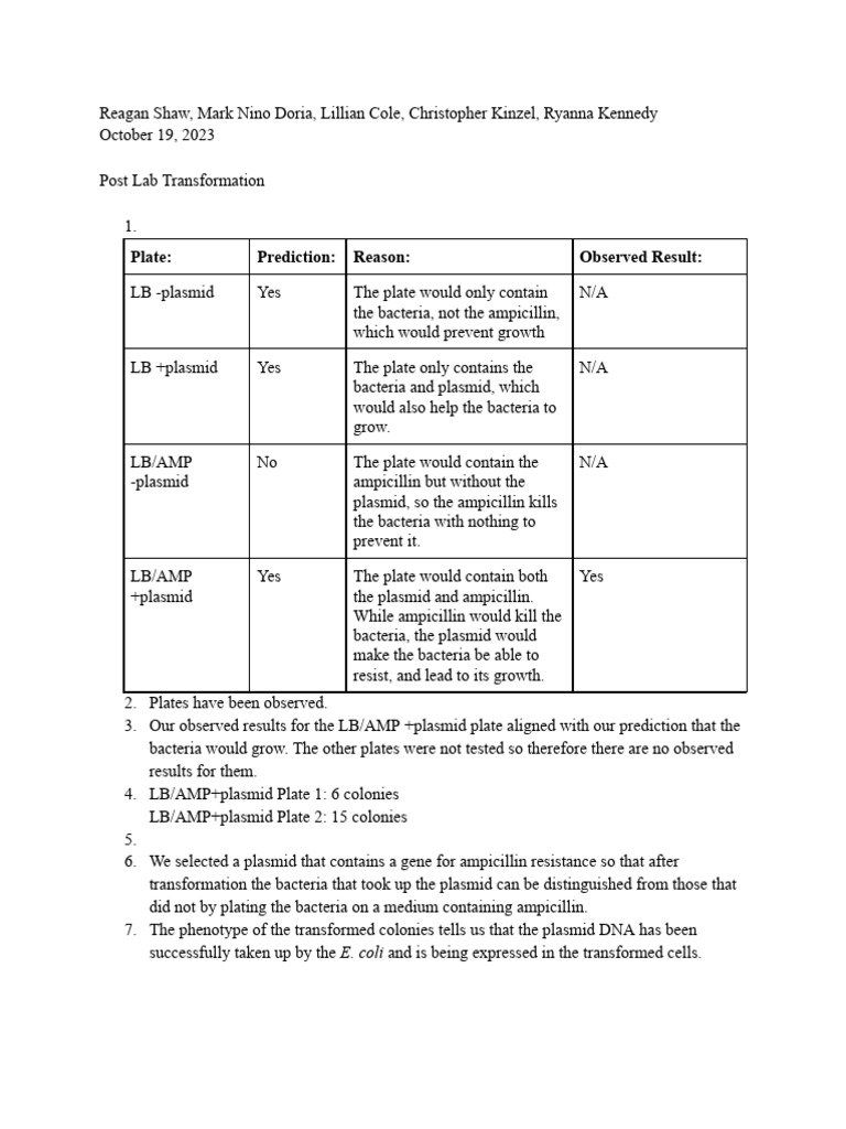 Bacterial Transformation Lab Results | PDF | Transformation (Genetics ...