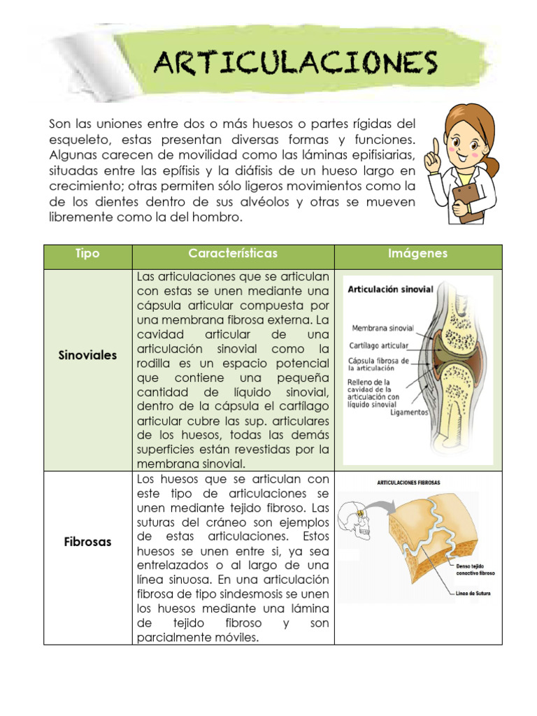 Articulaciones | PDF