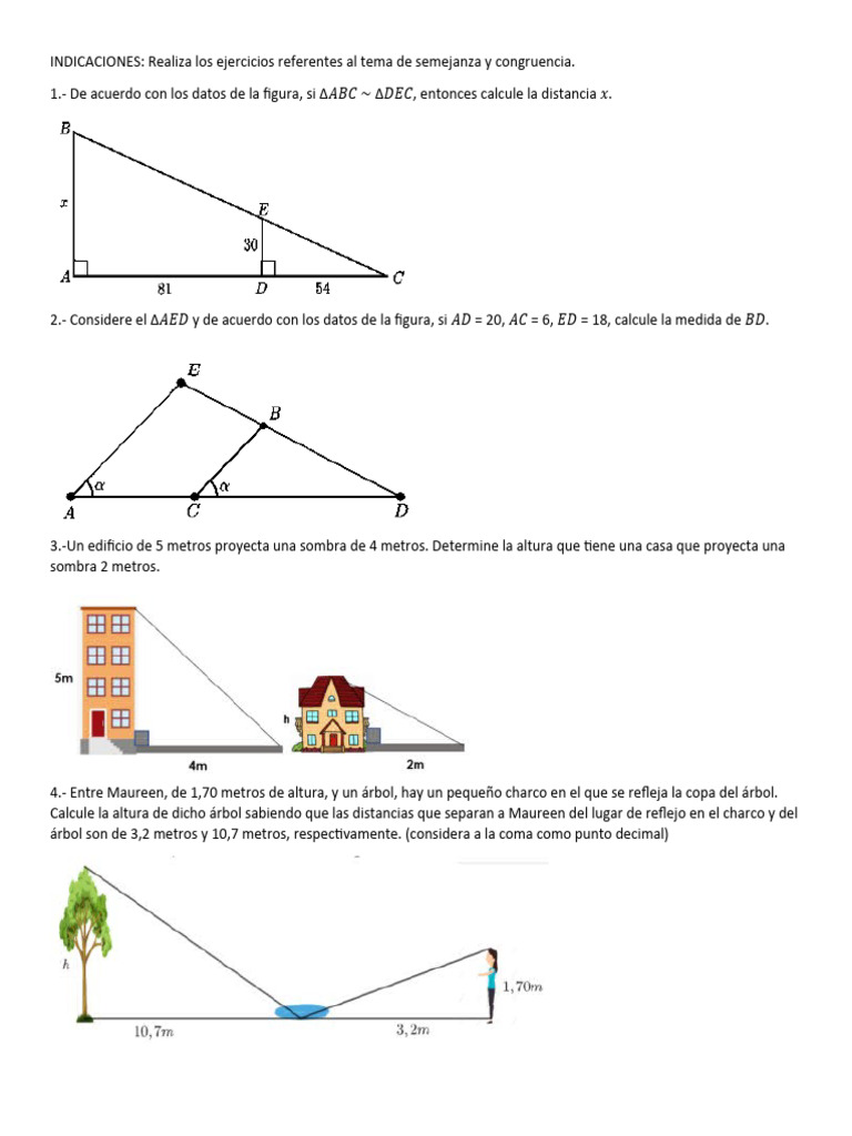 Ejercicios de Congruencia y Semejanza | PDF