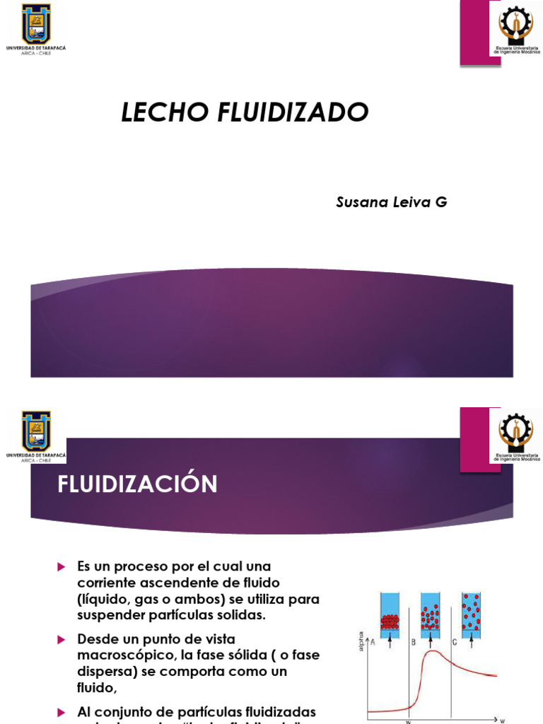 Fluidización y Lecho Fluidizado | PDF | Ciencia y matemáticas | Tecnología