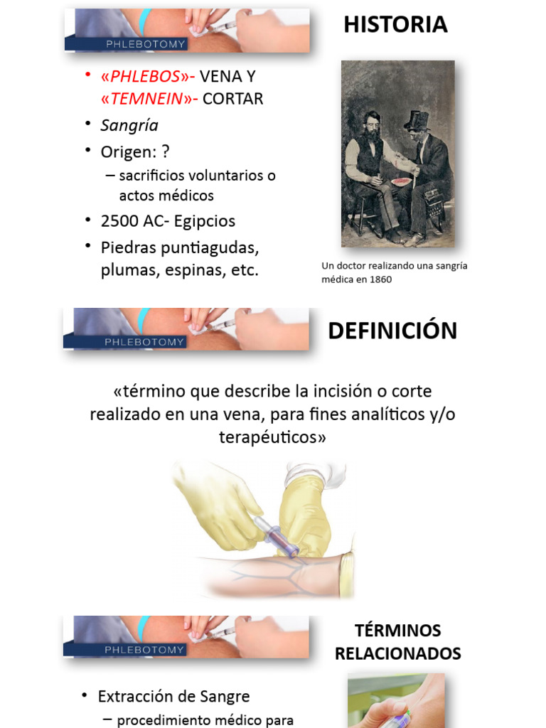 Guía Completa de Flebotomía | PDF | Anatomía | Cuidado de la salud