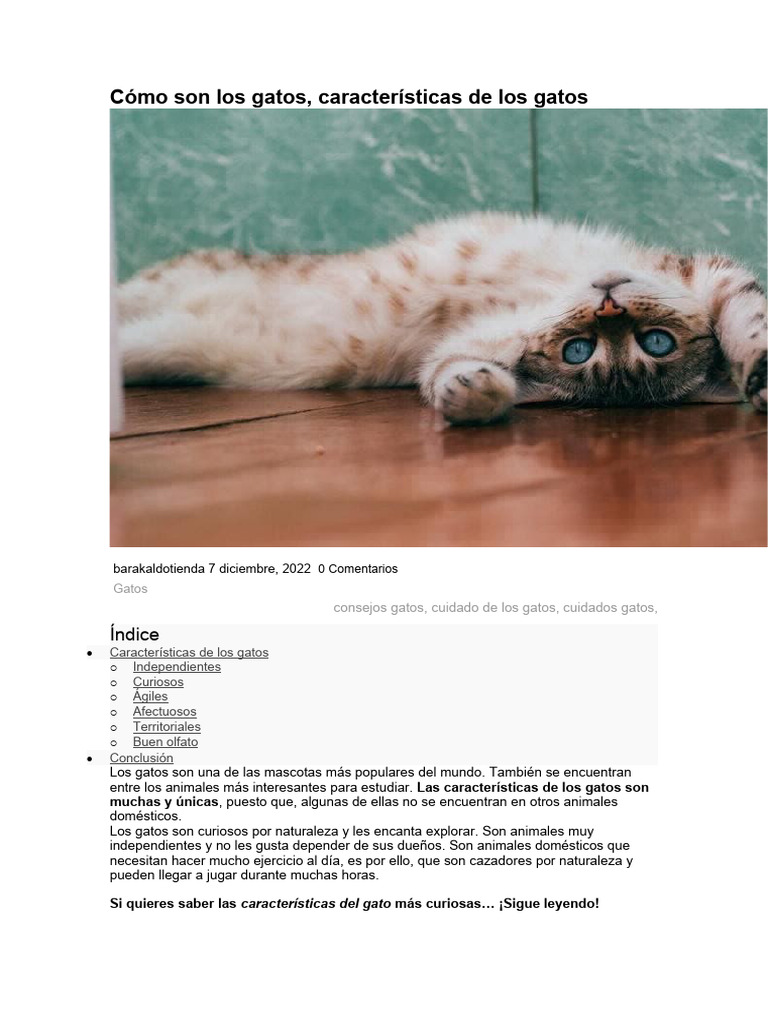 El Gato | PDF