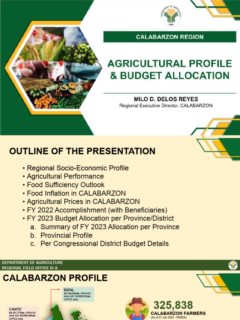 Regional-Provincial-Agri Profile (Rizal) - As of March 3, 2023 | PDF ...