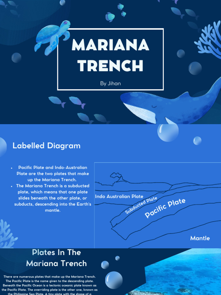 Mariana Trench | Download Free PDF | Plate Tectonics | Structural Geology