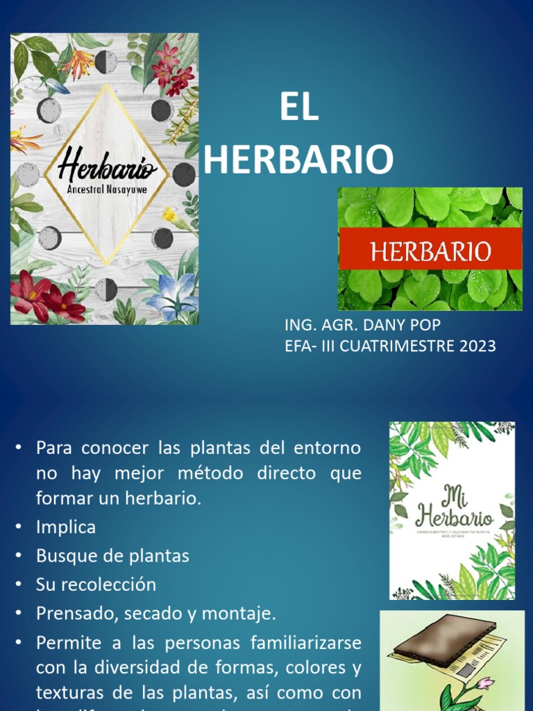 El Herbario 2023 | PDF | Papel | Plantas