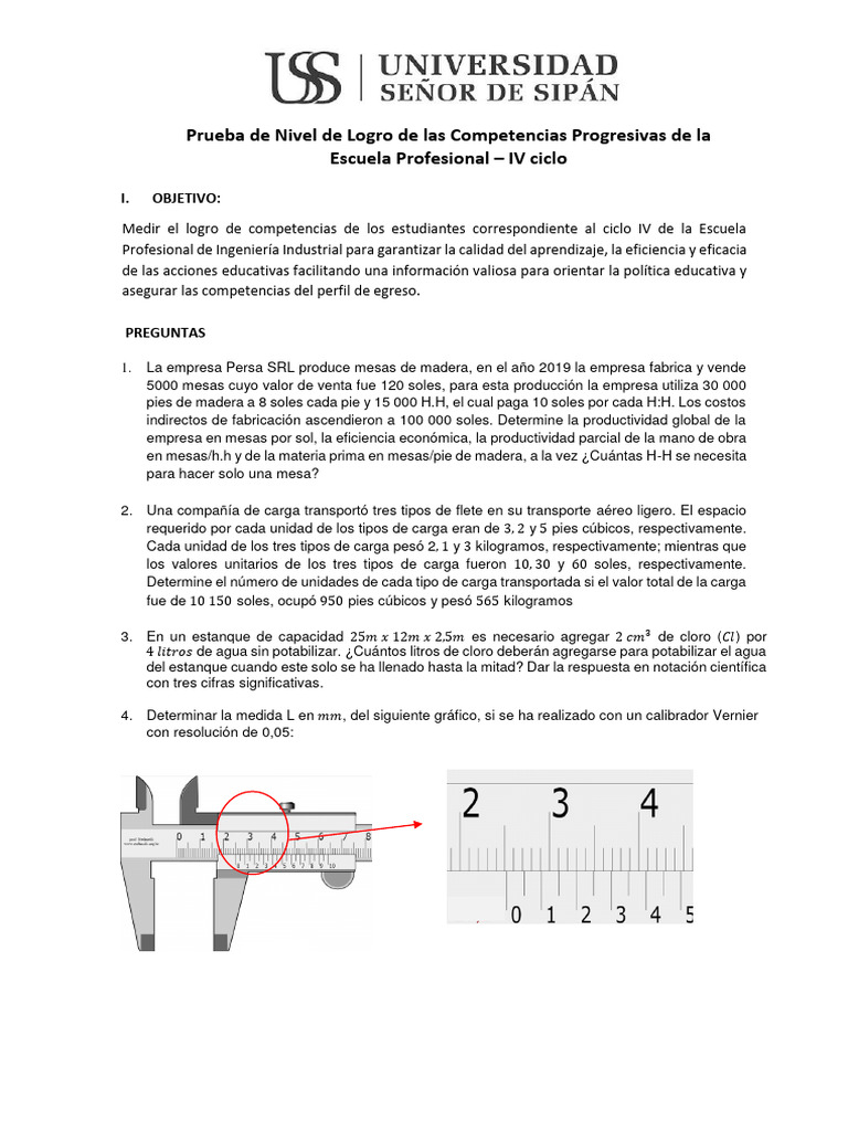 Prueba de Nivel de Logro - Iv Ciclo | PDF