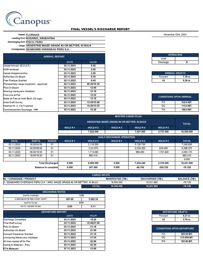 Cargo Discharge Summary | PDF