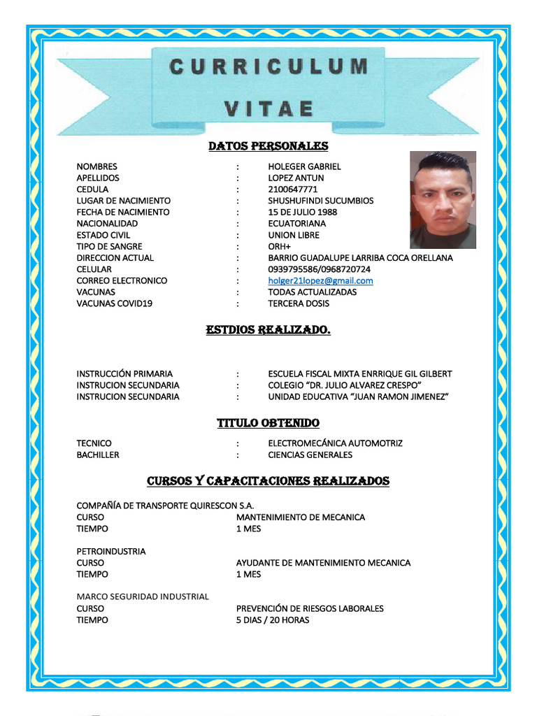 Curriculo Holger Lopez Coca | PDF