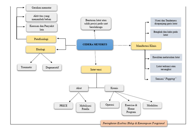 Underlying Proses Meniskus | PDF