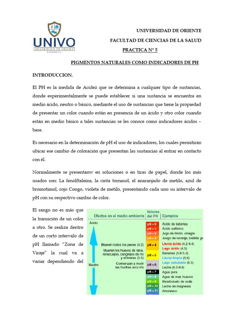 PrÃ¡ctica NÂ°5 | PDF