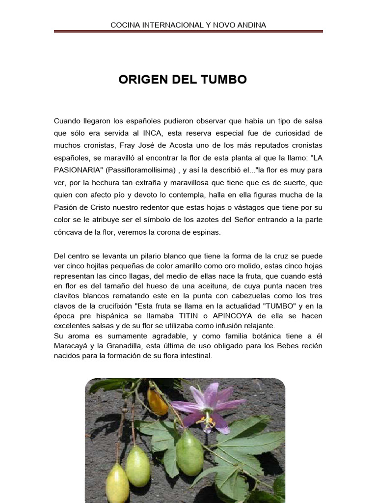 Origen y características del tumbo | PDF | Cocina, comidas y vino ...