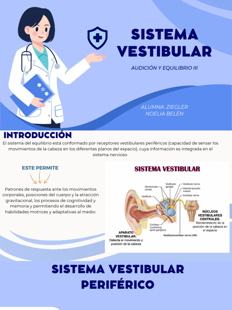 Sistema Vestibular Pdf Neurociencia Sistema Nervioso