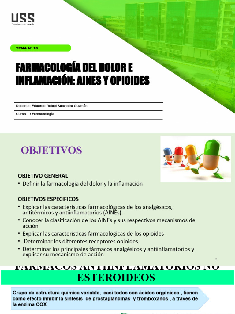 Tema 10. Dolor e inflamación - Eduardo | PDF