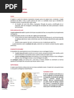 Anatomia Do Nariz e Seios Da Face | PDF | Sistema Esquelético | Otorrinolaringologia