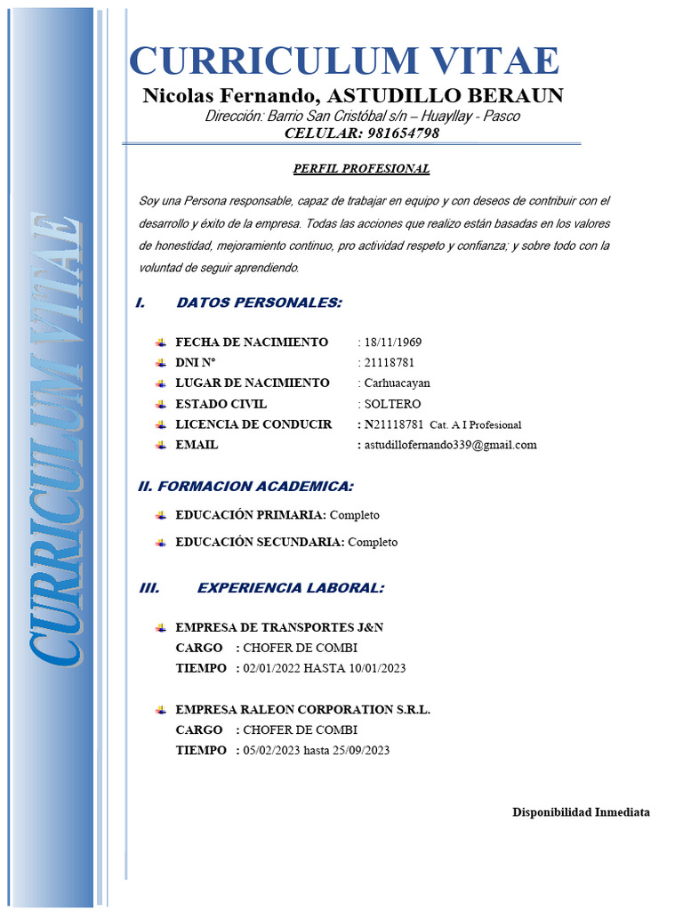 Curriculum Vitae Astudillo | PDF
