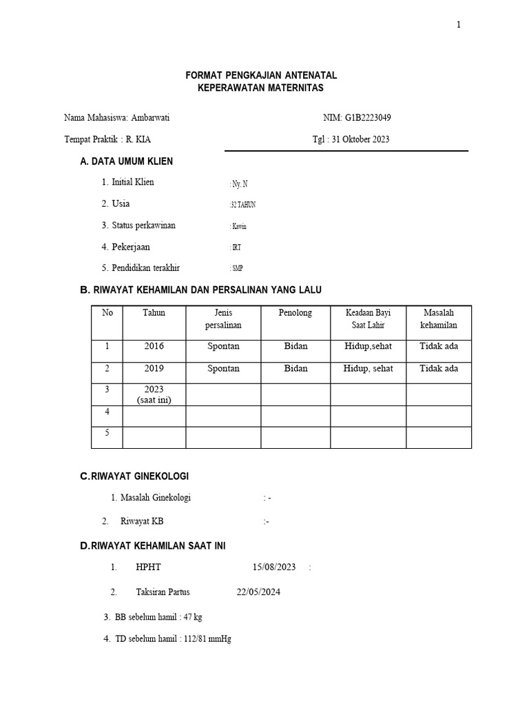 Resume 1 Kia Ambar | PDF