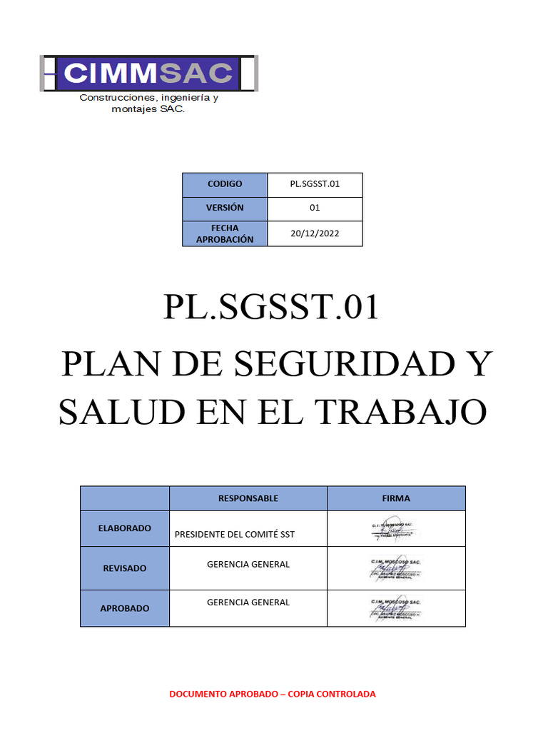 PL - SGSST.01 Plan de SST | PDF | Seguridad y salud ocupacional | Valores