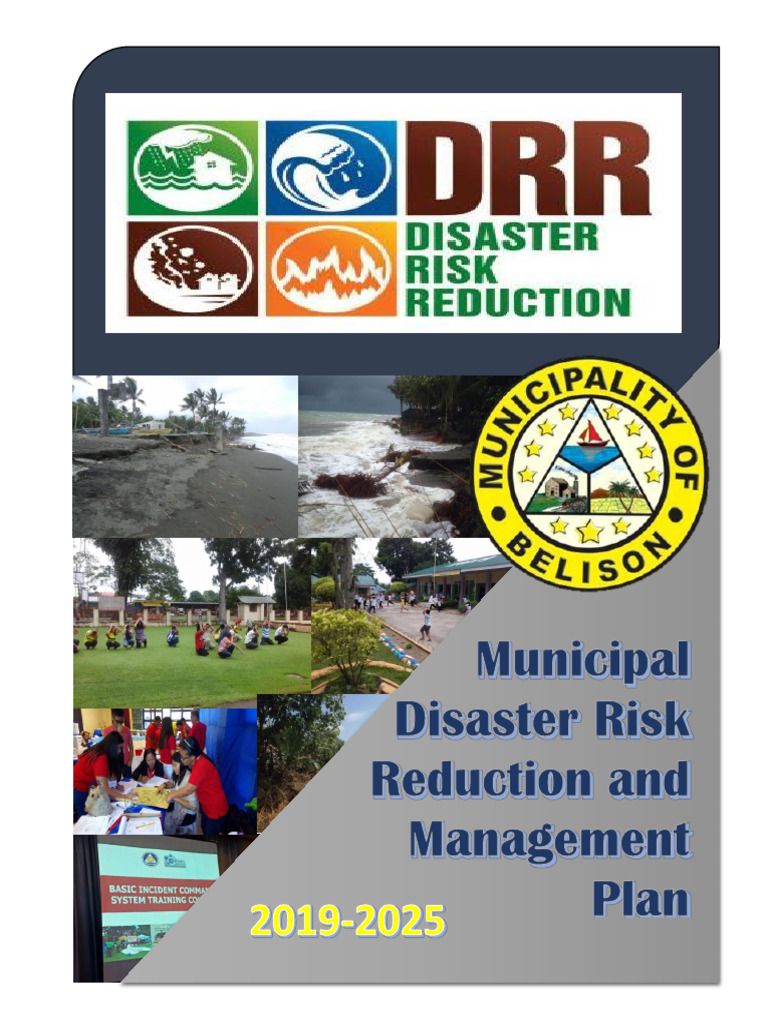 Municipal Disaster Risk Reduction and Management Plan | PDF