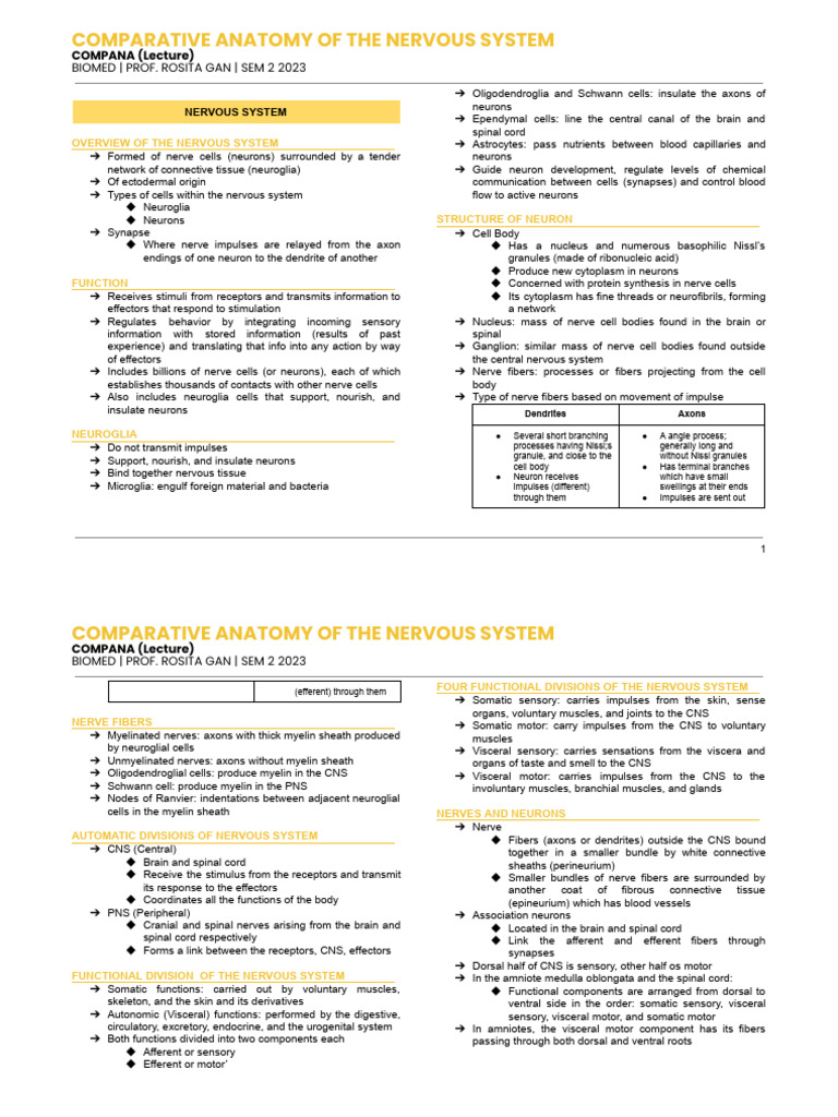 (Compana) Comparative Anatomy of The Nervous System | PDF | Central Nervous System | Motor Neuron