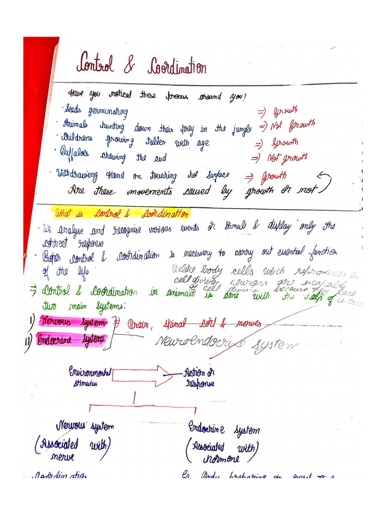 Control and Coordination PDF | PDF