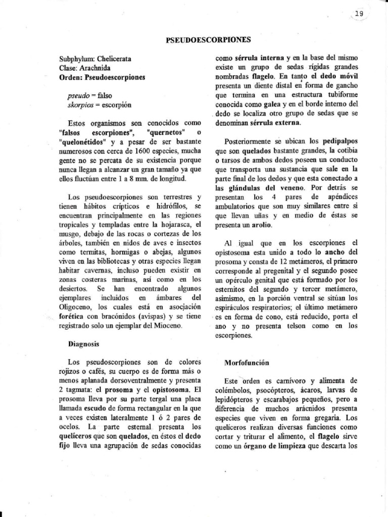 Características y Hábitos de los Pseudoescorpiones | PDF | Primeras ...