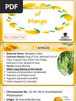 RHS Colour Charts Editions PDF | PDF | Color | Graphic Design