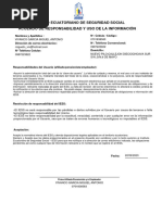 Formulario USI-07 de ANSES | PDF | Internet | Informática