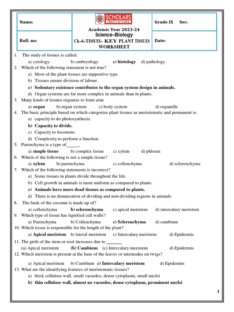 KEY GRADE 9 SCIENCE_BIOLOGY Ch 6 Work-Sheet Tissues-PlantTissues 23_24 ...