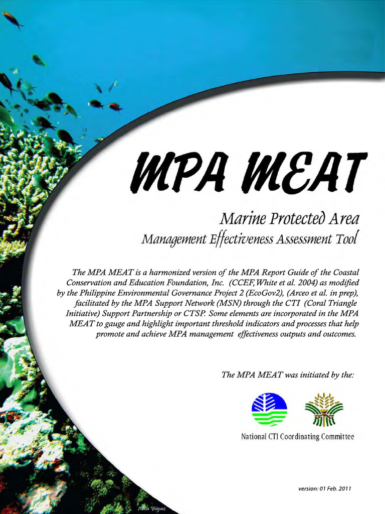 Mpa Effectiveness Assessment Tool | PDF