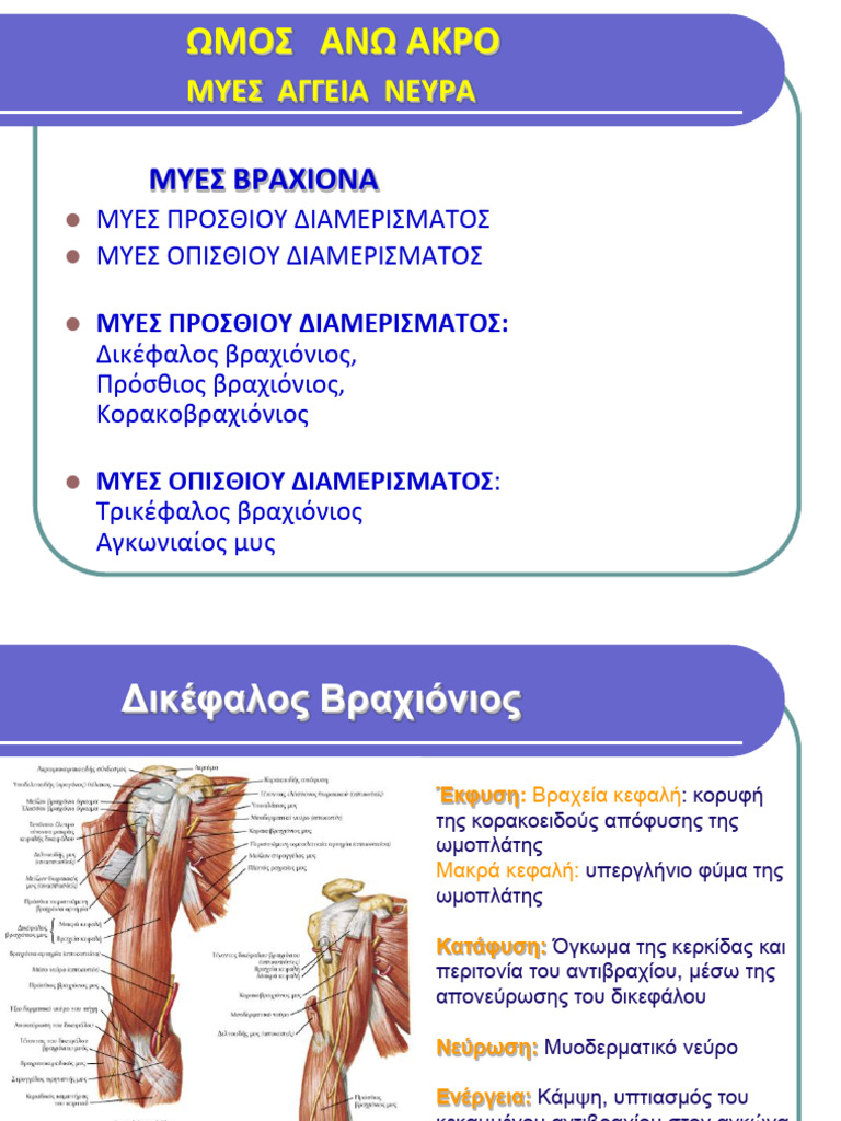 ΑΝΩ ΑΚΡΟ | PDF