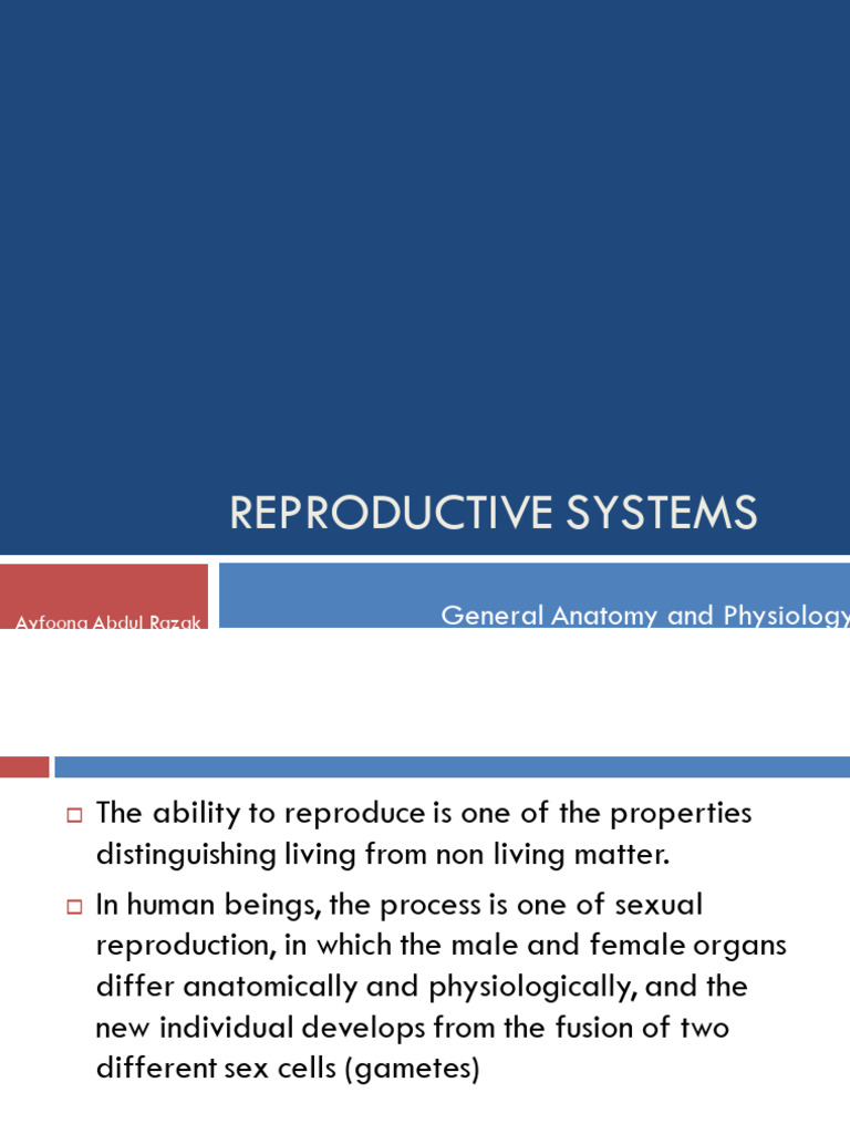 Reproductive System 1 | PDF | Menstrual Cycle | Ovary