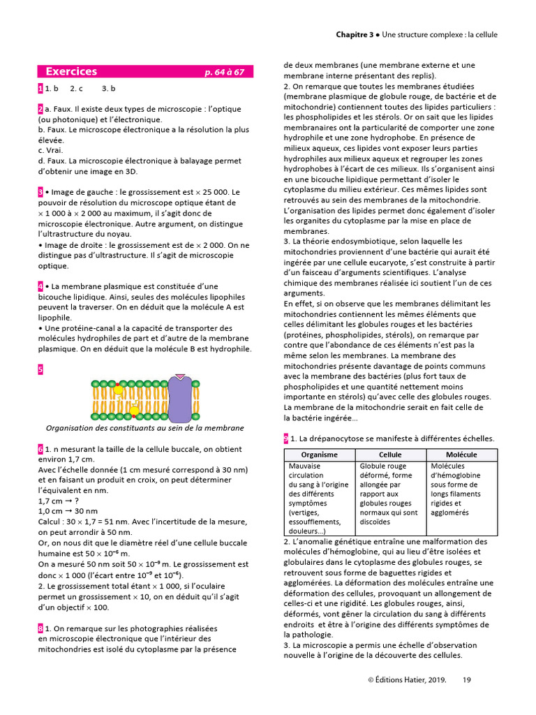 Enseignement scientifique 1re -corrigé exercices fiche 1 | PDF