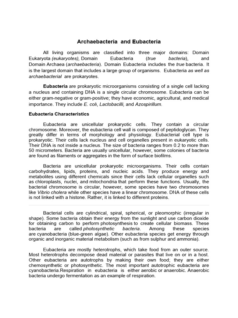 Archebacteia and Eubacteria | PDF | Bacteria | Archaea