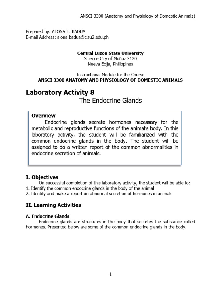 Lab Exercise No. 8 - Endocrine Glands | PDF