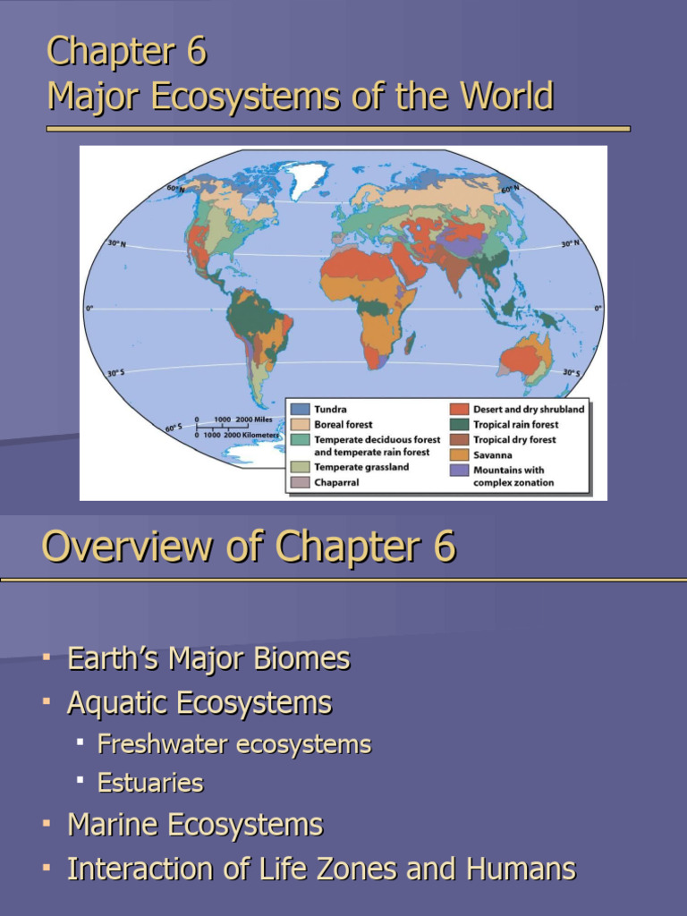 Rav7e Ch06 Lecture Modified | PDF Rav7e Ch06 Lecture Modified | PDF