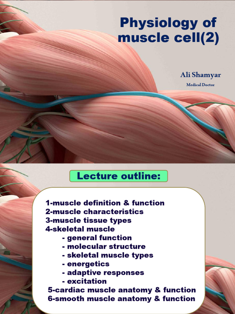 Physiology06 Muscle Cell | PDF | Skeletal Muscle | Actin